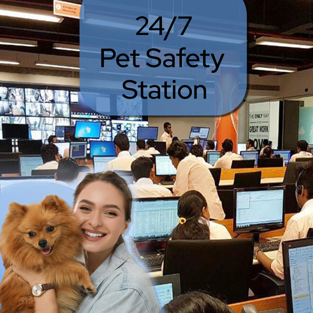 Explore Captain India's Pet Care & Safety Products | Captain India